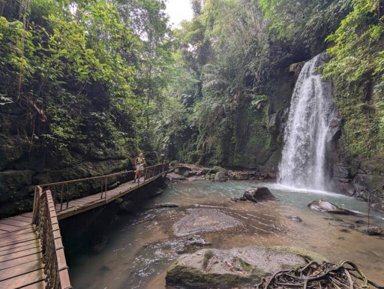 The beauty of Ulu Petanu Waterfall - JinengBali Agro - Eco, Eat & Relax
